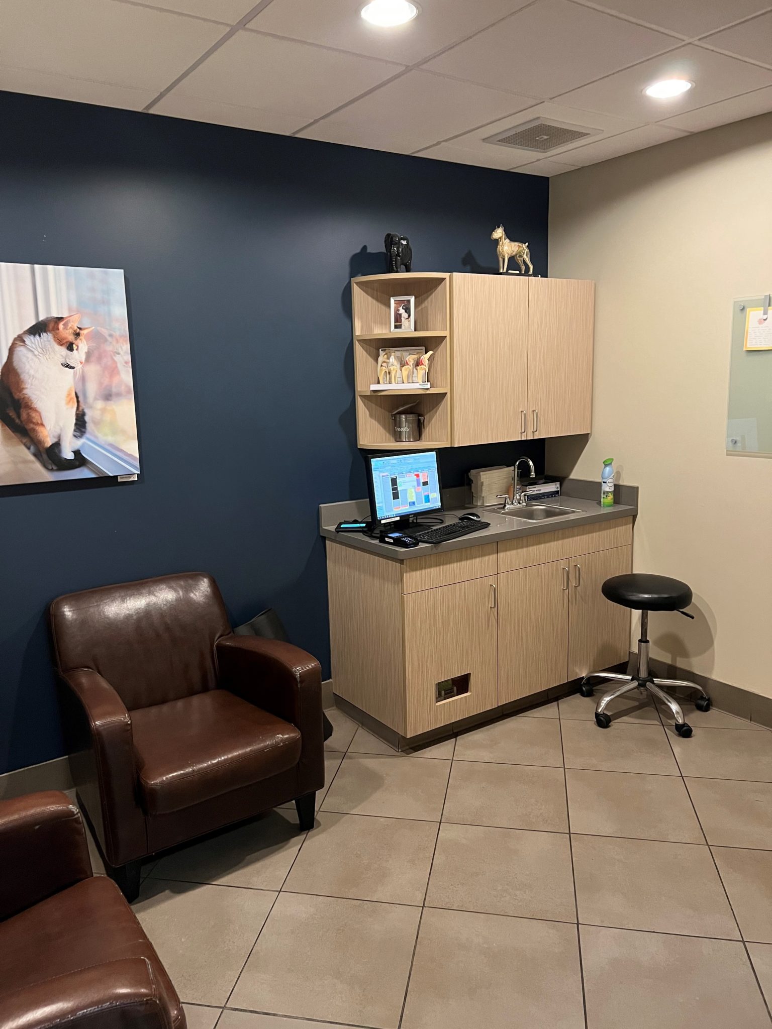 Our Location in Denver, CO | VIDA Veterinary Care